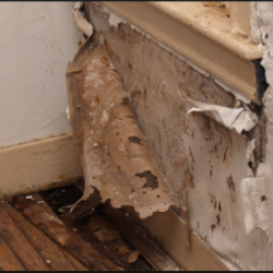Advice on Damp problems - are these damp specialists trying to make a ...