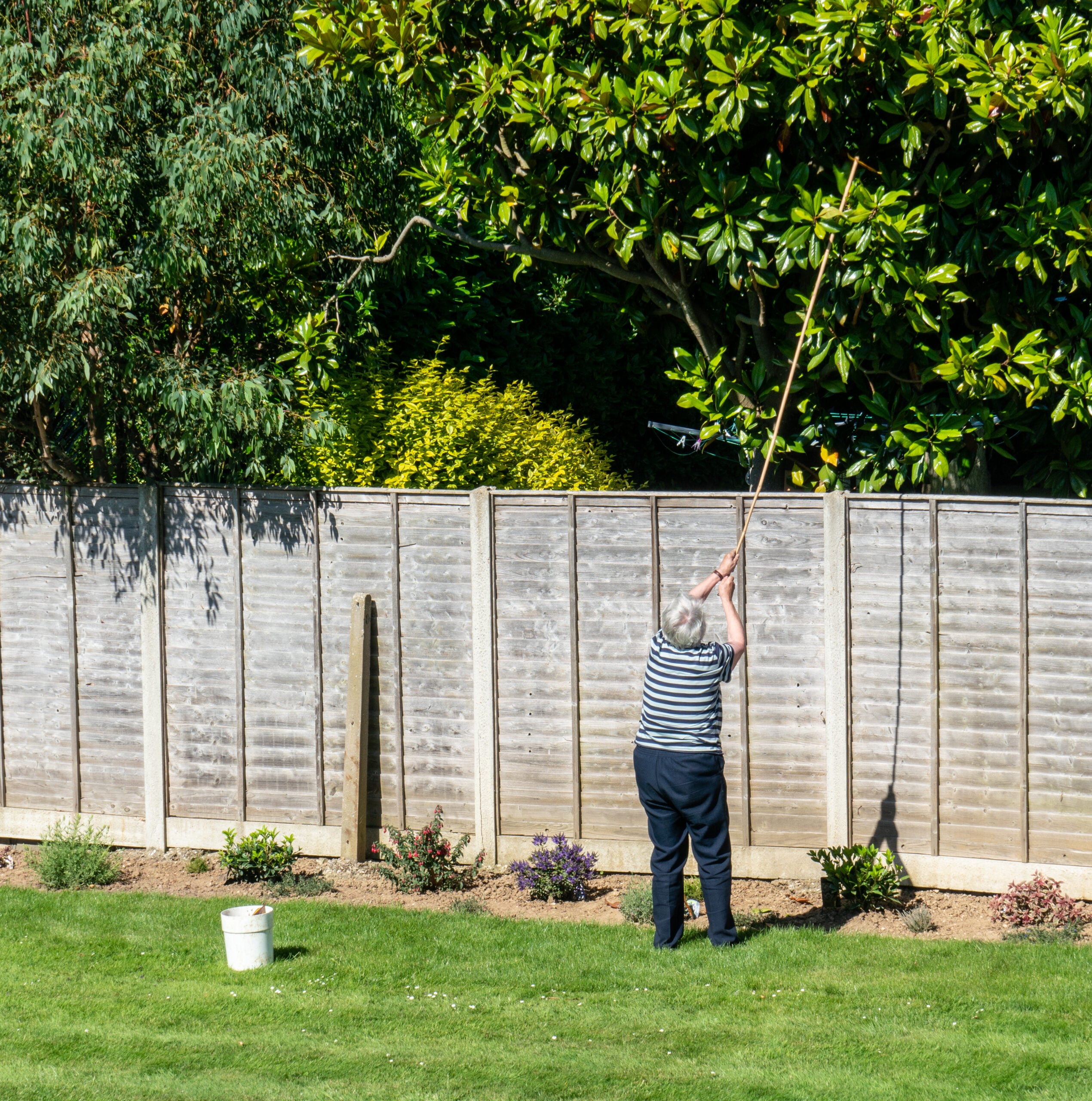 Property118 | Overhanging trees higher than a house! - Property118