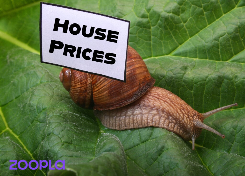 Property118 | House price growth slows as stamp duty costs rise